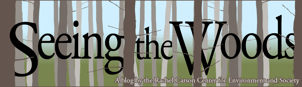 seeing_woods_header.png