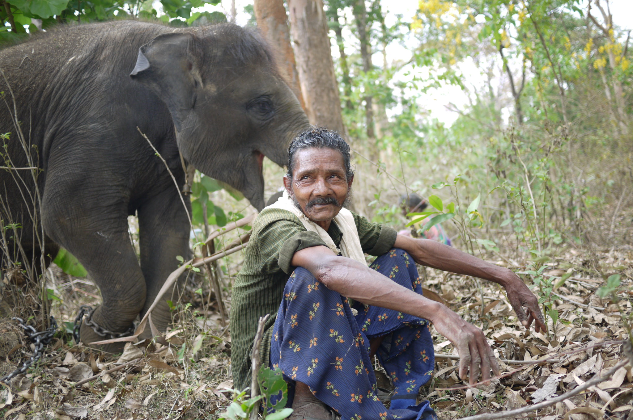 Outsmarting Technology: Elephants as Non-Human-Actors in Wildlife ...