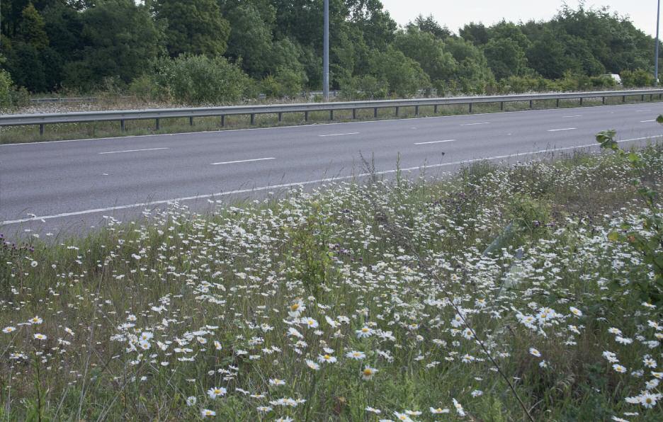 Car Parks and Edgelands: An Interview with Artist Edward Chell – Seeing ...