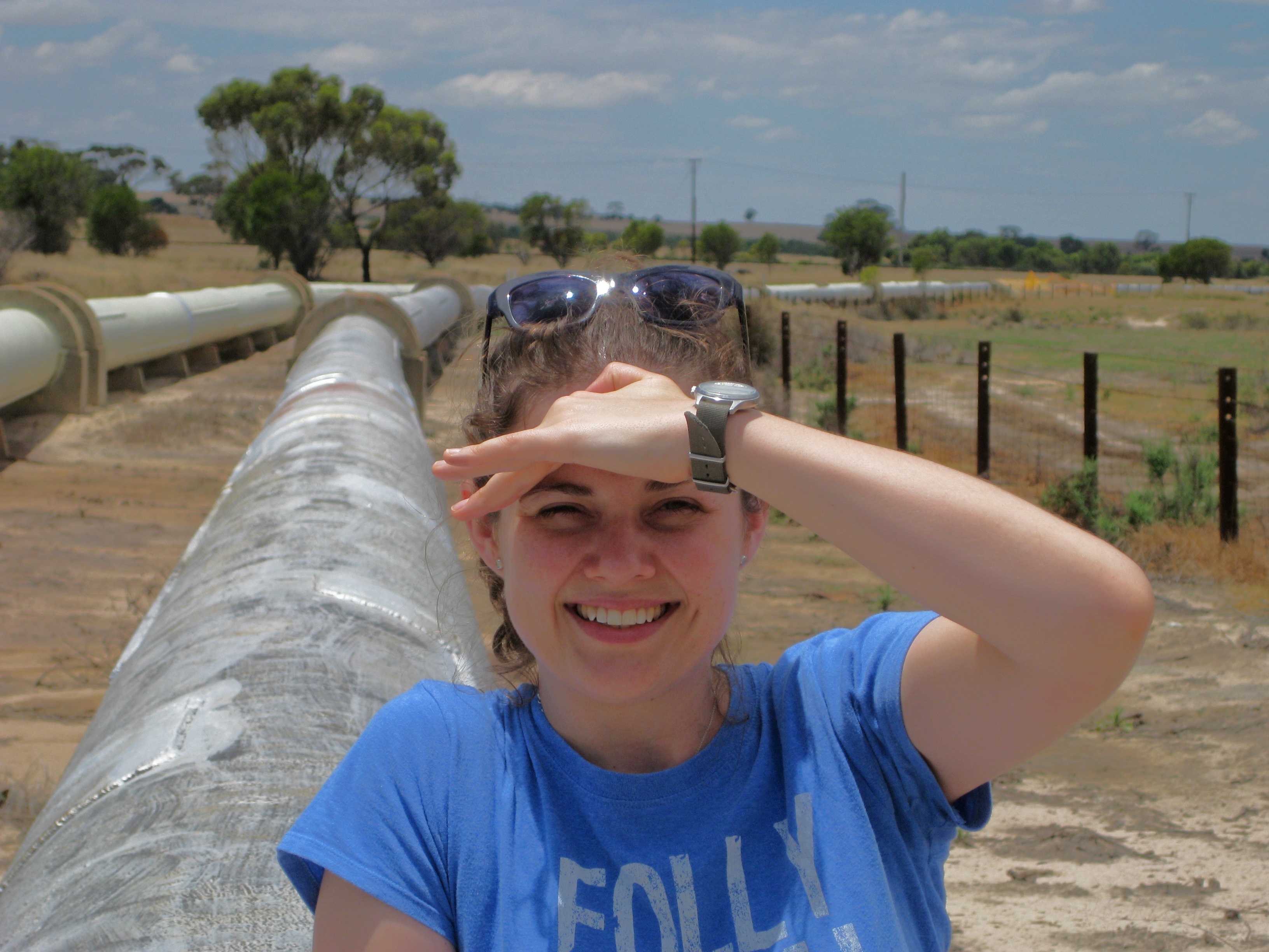 Making Tracks: Ruth Morgan – Seeing the Woods