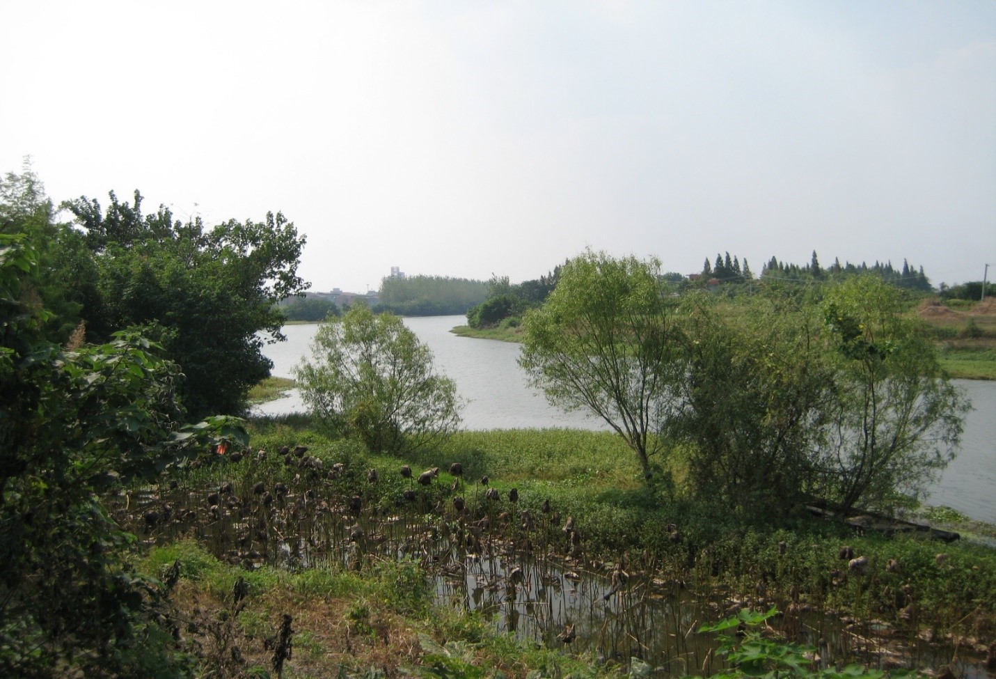 Making Tracks: Yan Gao – Seeing the Woods