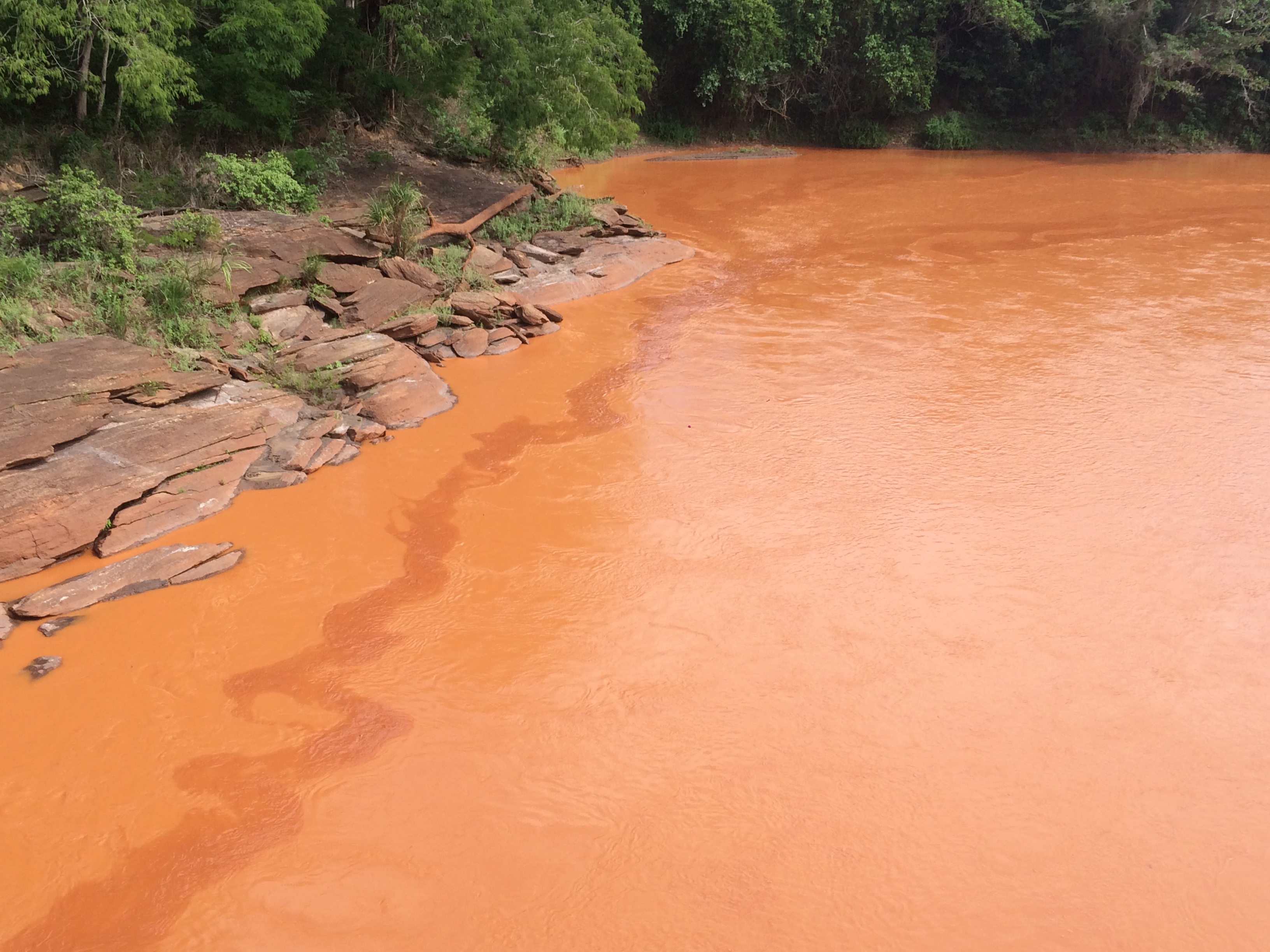 Worldview: Doce River Disaster – Seeing the Woods