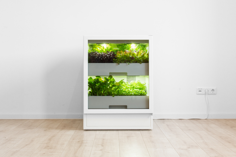 Nurturing My Greens with High-Tech? Reflections on Vertical Farming and ...