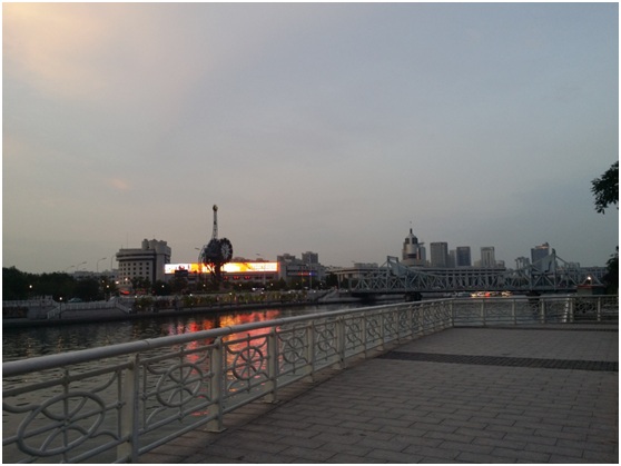 Making Tracks: Mu Cao – Seeing the Woods