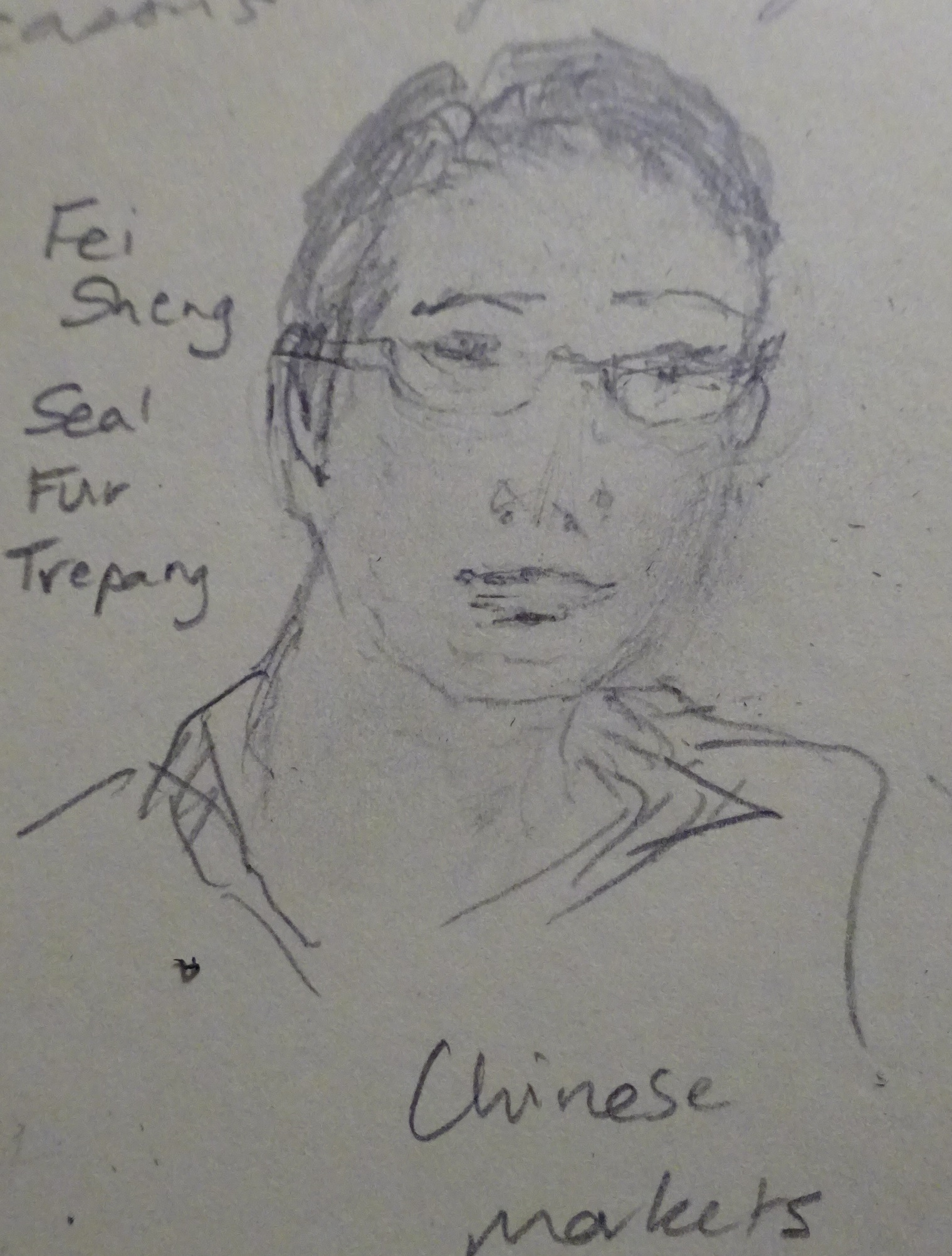 Fei Sheng – Seeing the Woods